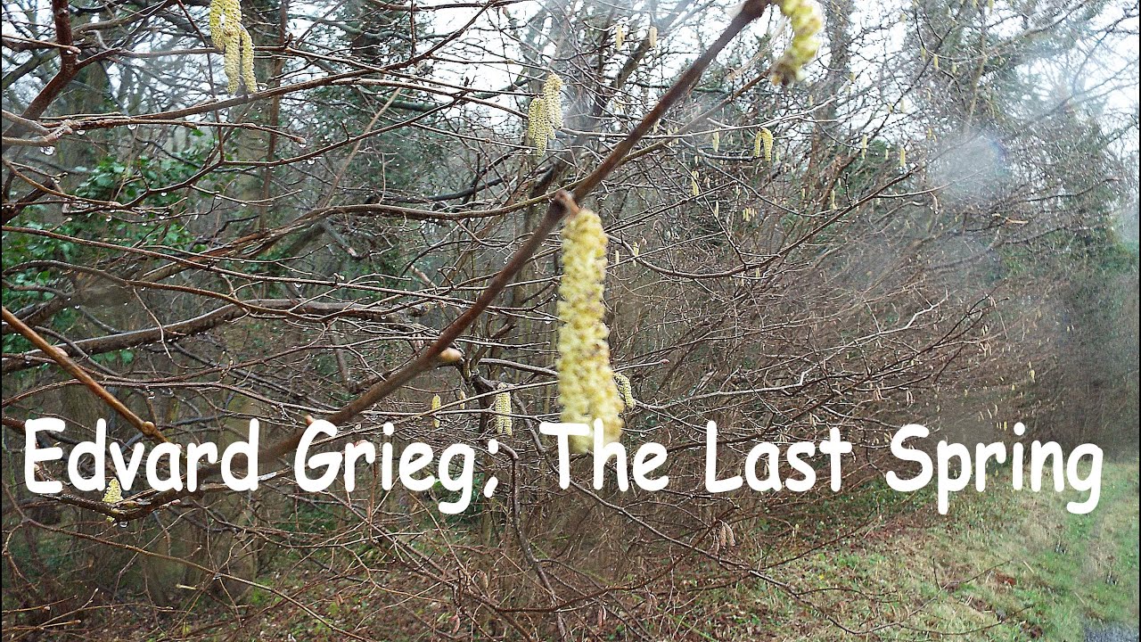 Grieg: The Last Spring. - YouTube