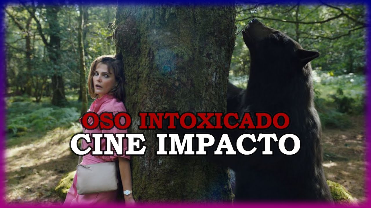Reseña de Oso intoxicado | Cine Impacto - YouTube