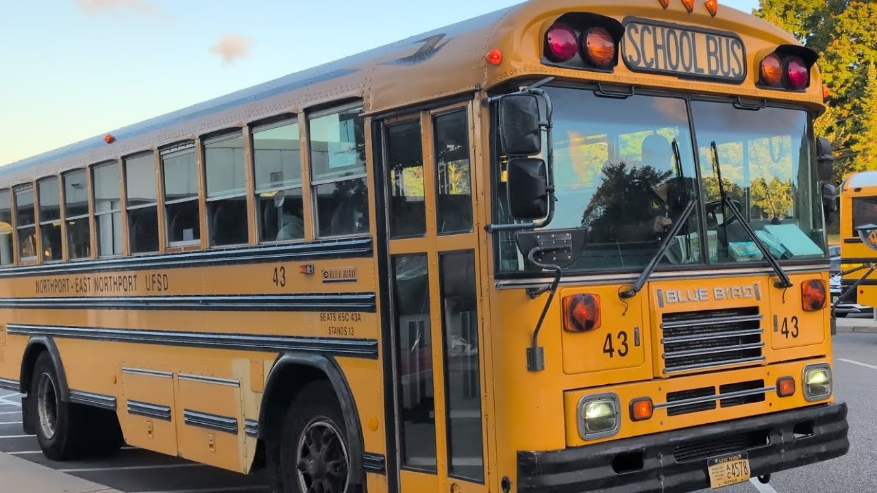 2000 BLUEBIRD TC2000 SUPER RARE BUS - YouTube