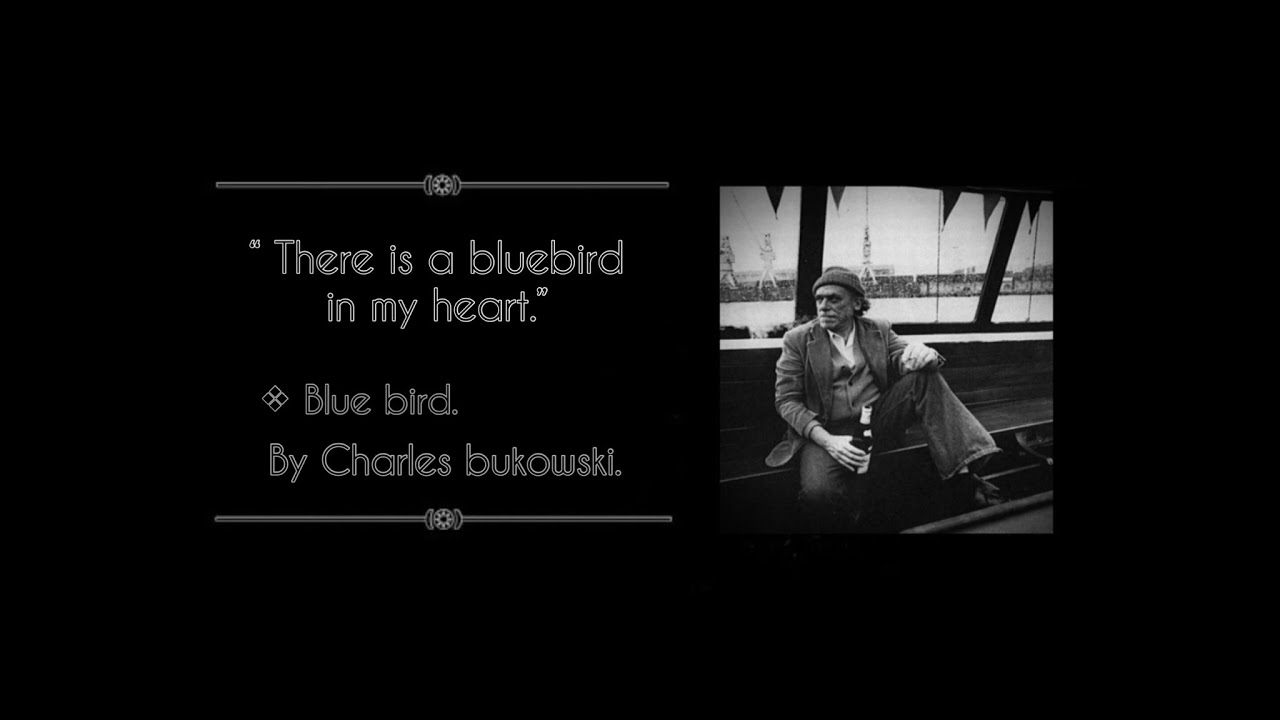 Blue bird By Charles bukowski. - YouTube