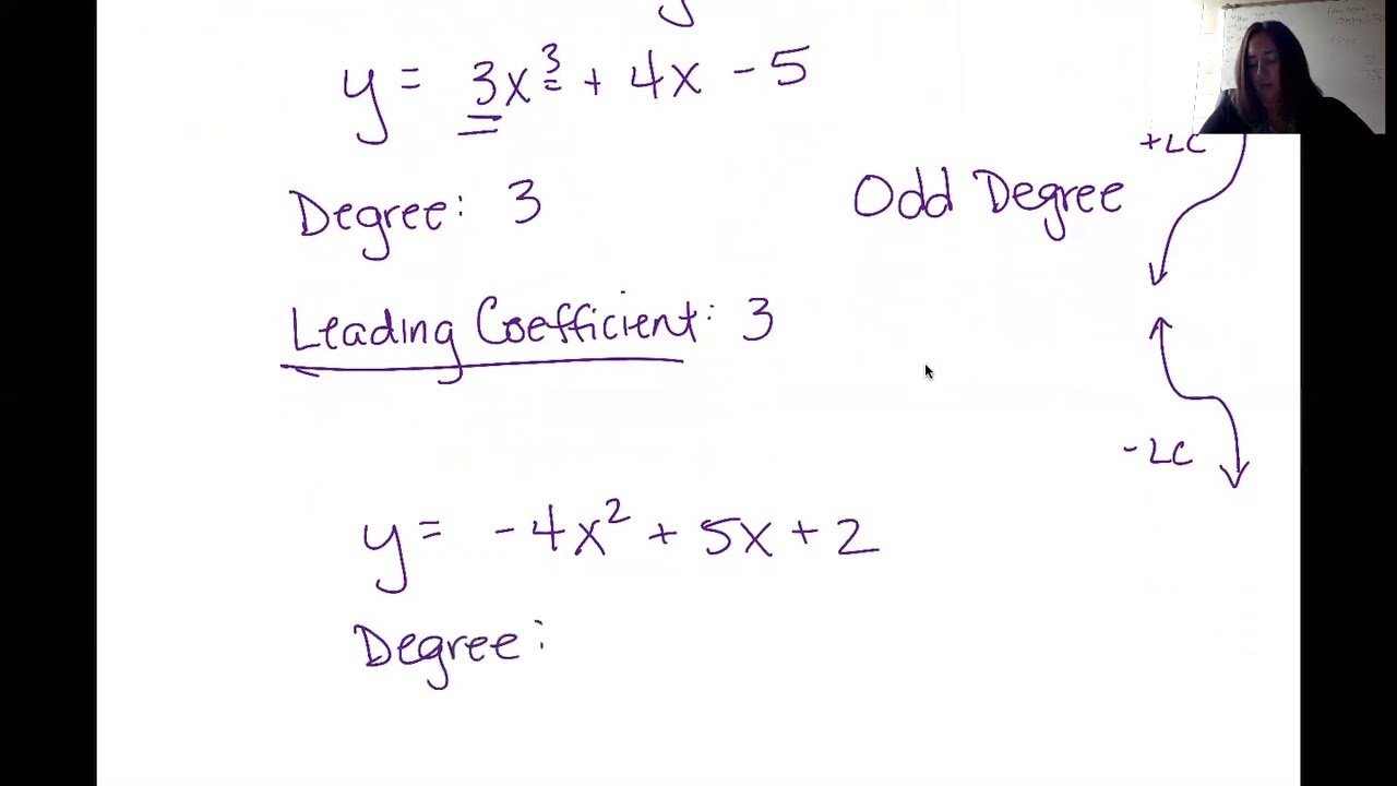 Polynomials of higher degree - YouTube