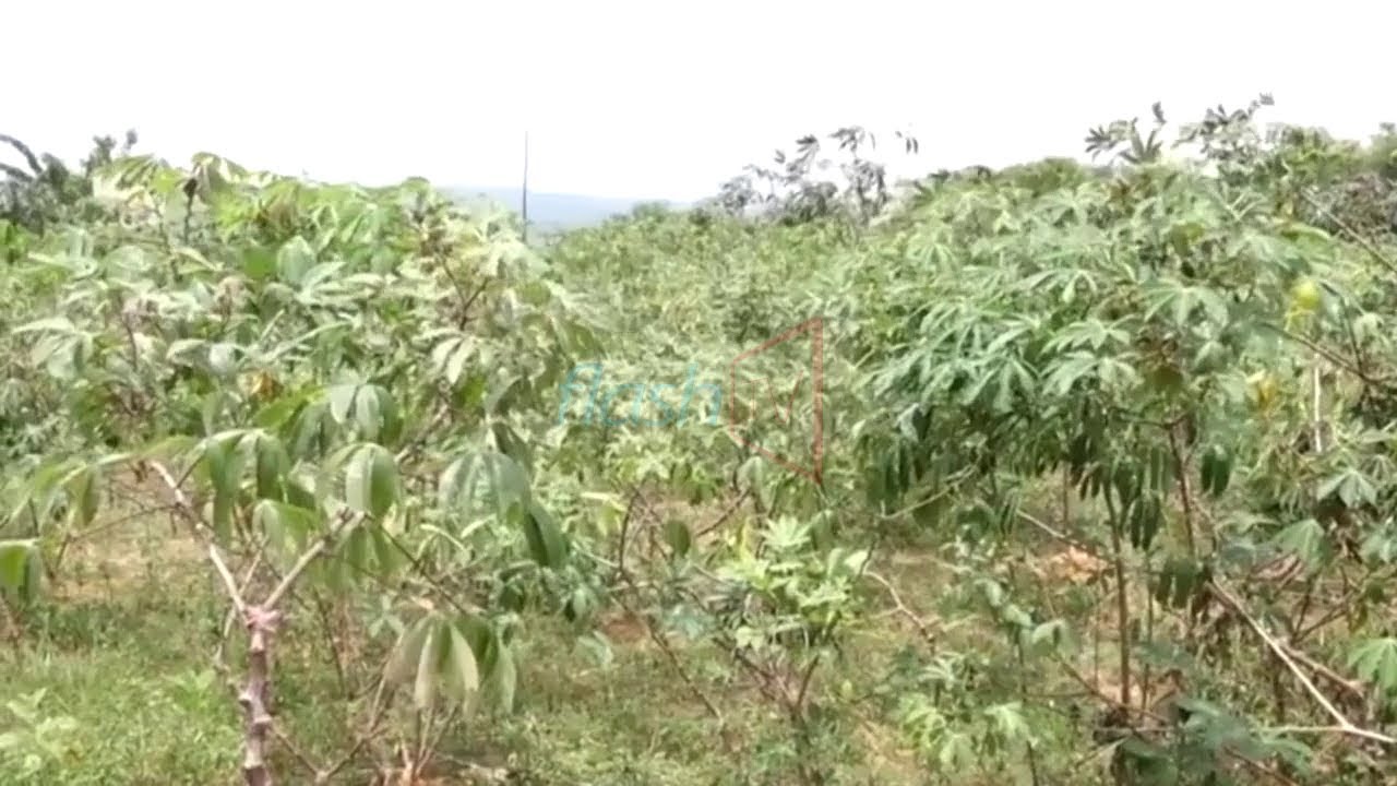 Umwumbati ubona umugabo ugasiba undi mu Karere ka Ruhango - YouTube