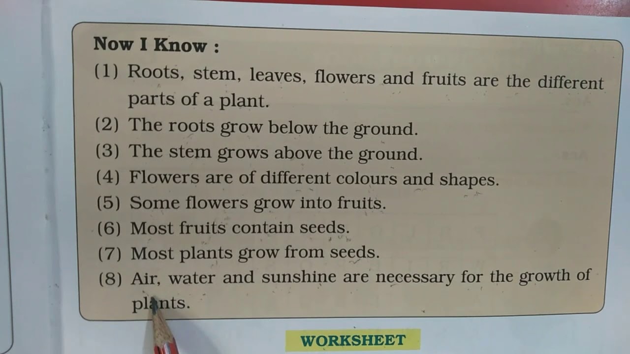 Std -1 - Science - Lecture 4 - YouTube