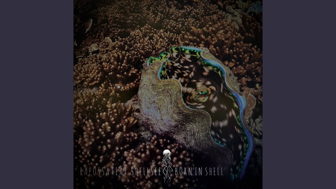 Born in Shell - YouTube