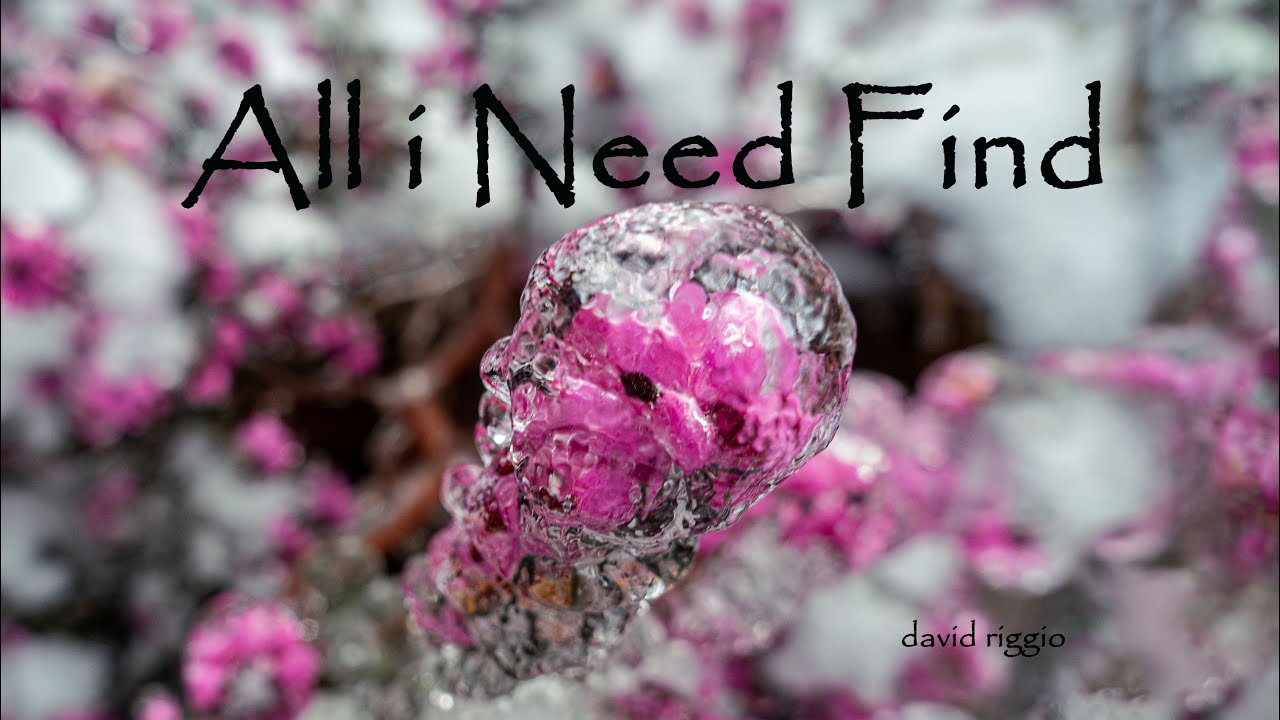 david riggio - All i Need Find - YouTube