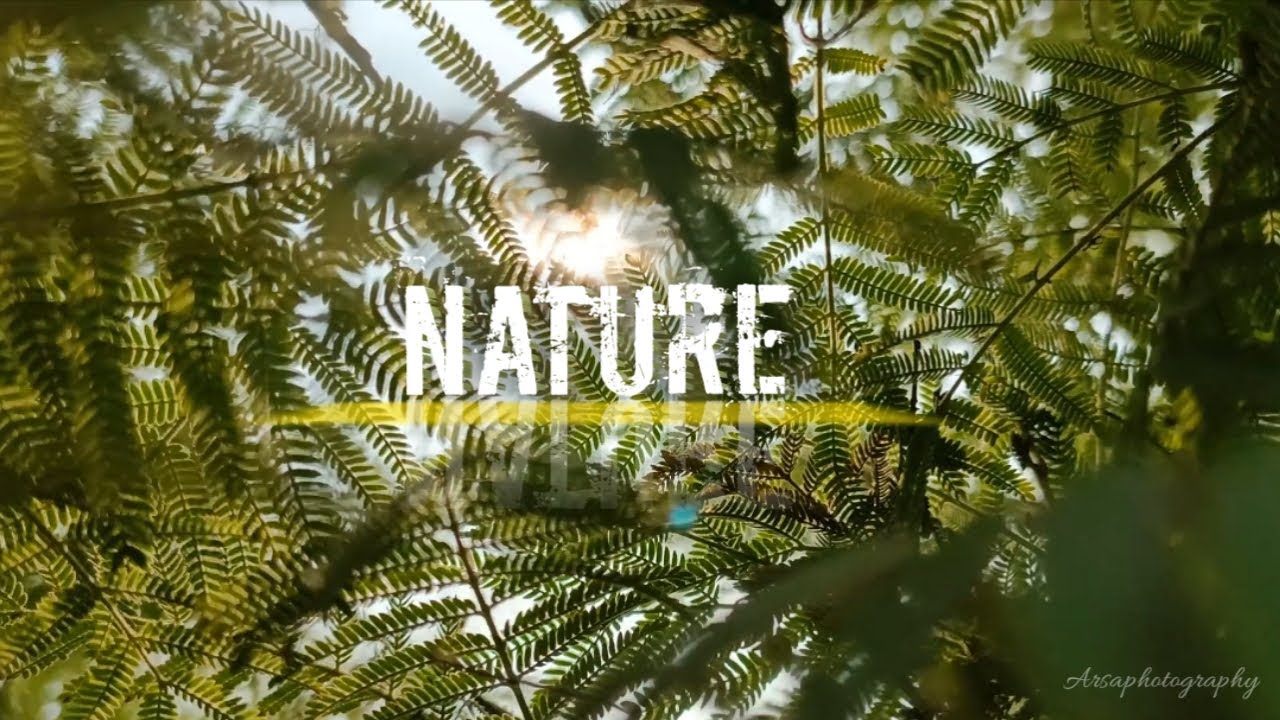 The Nature - Cinematic Video || Short Video Clips of Nature || Shoot ...
