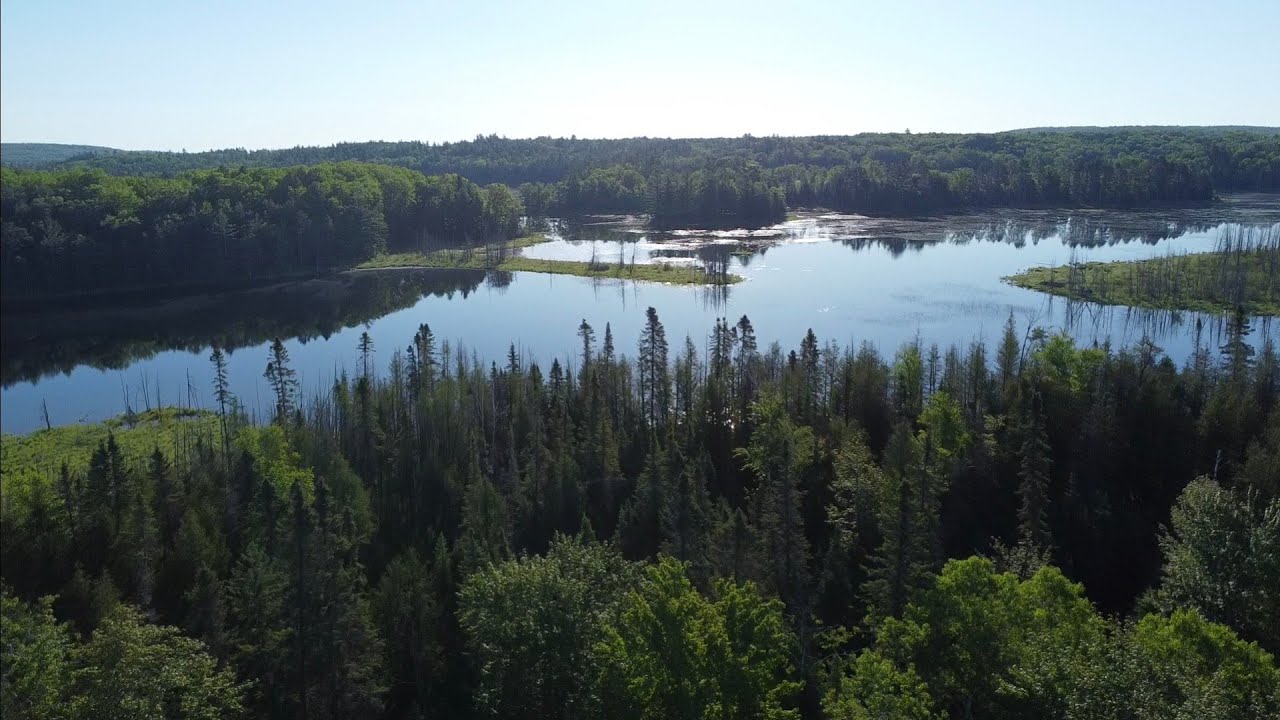 Incredibly beautiful Lake in Atlanta Michigan - YouTube