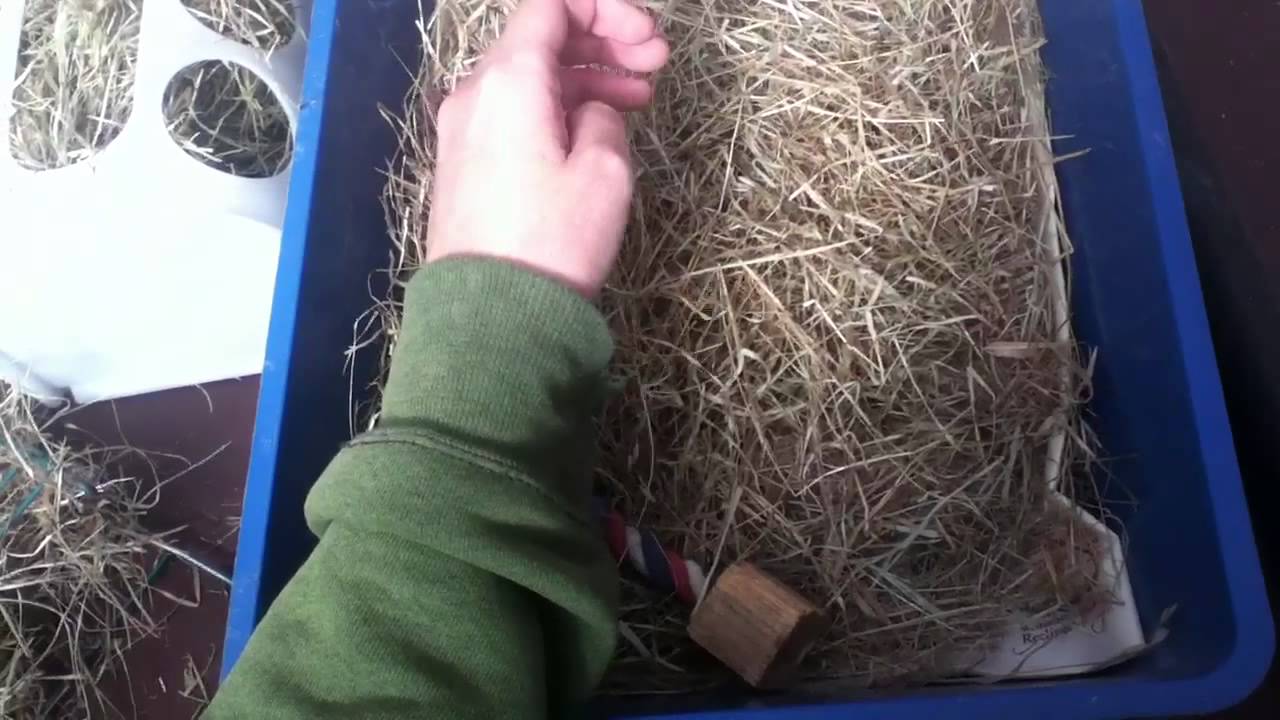 Hay racks for small animals - YouTube