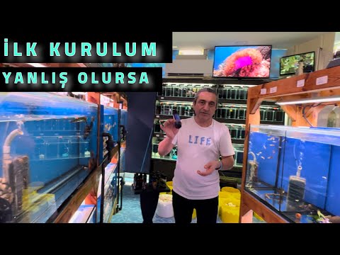İLK DEFA BALIK BESLEYENLER İÇİN ÖNEMLİ DUYURU, akvaryum balıkları