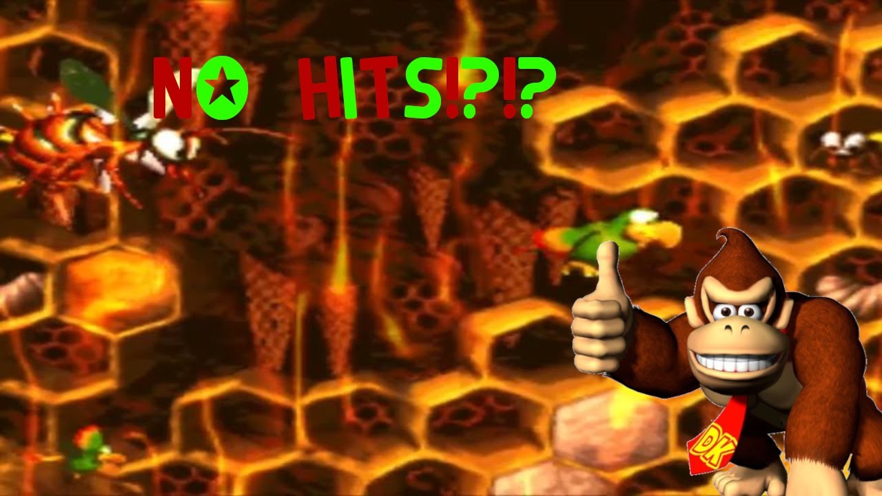 No Hit Run of King Zing Sting in Donkey Kong Country 2 - YouTube