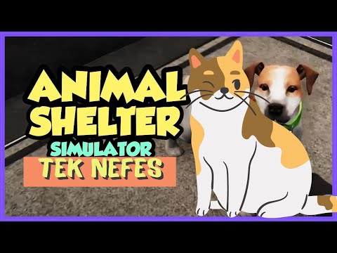 TEK NEFES | ANIMAL SHELTER, ONA İYİ BAK 🥺