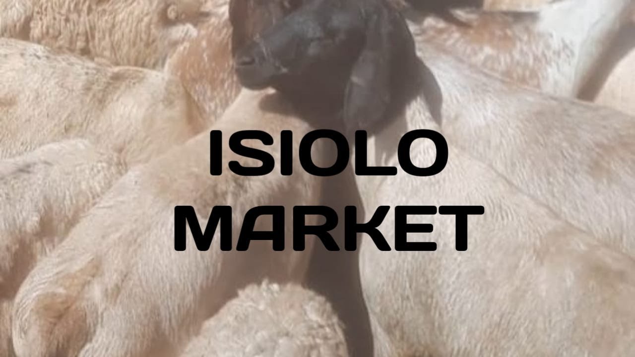 ISIOLO KENYA LIVESTOCK MARKET. iam_marwa - YouTube