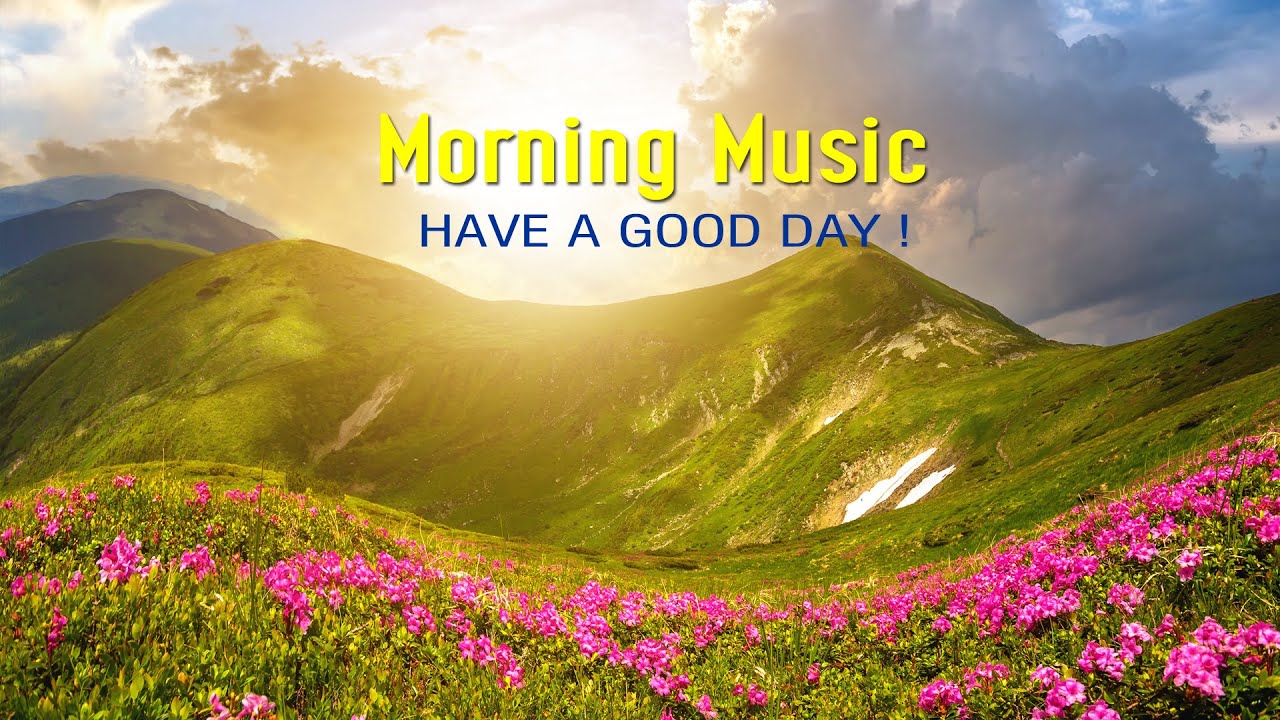 Beautiful Morning Music Fresh Positive Feelings Calm Music For Stress