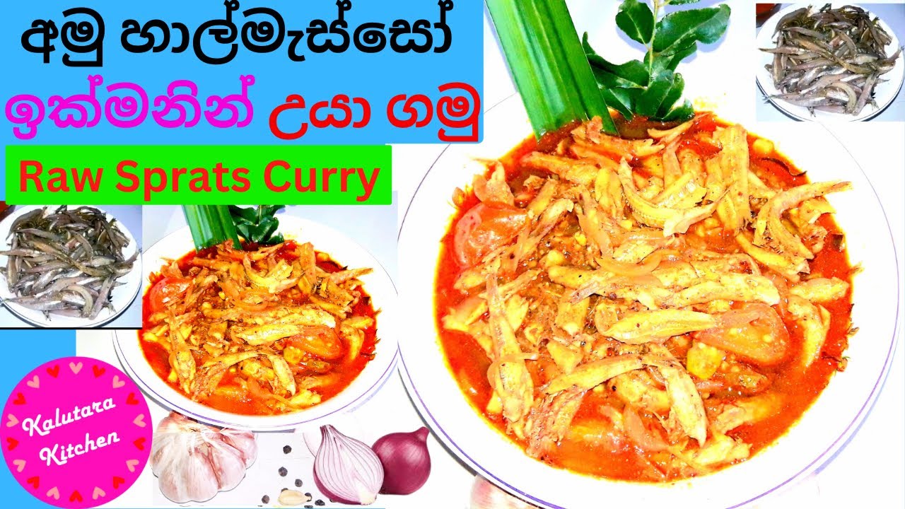 Raw Sprats Curry 💕| Halmasso Curry | Anchovies Fish Curry | Raw Sprats ...
