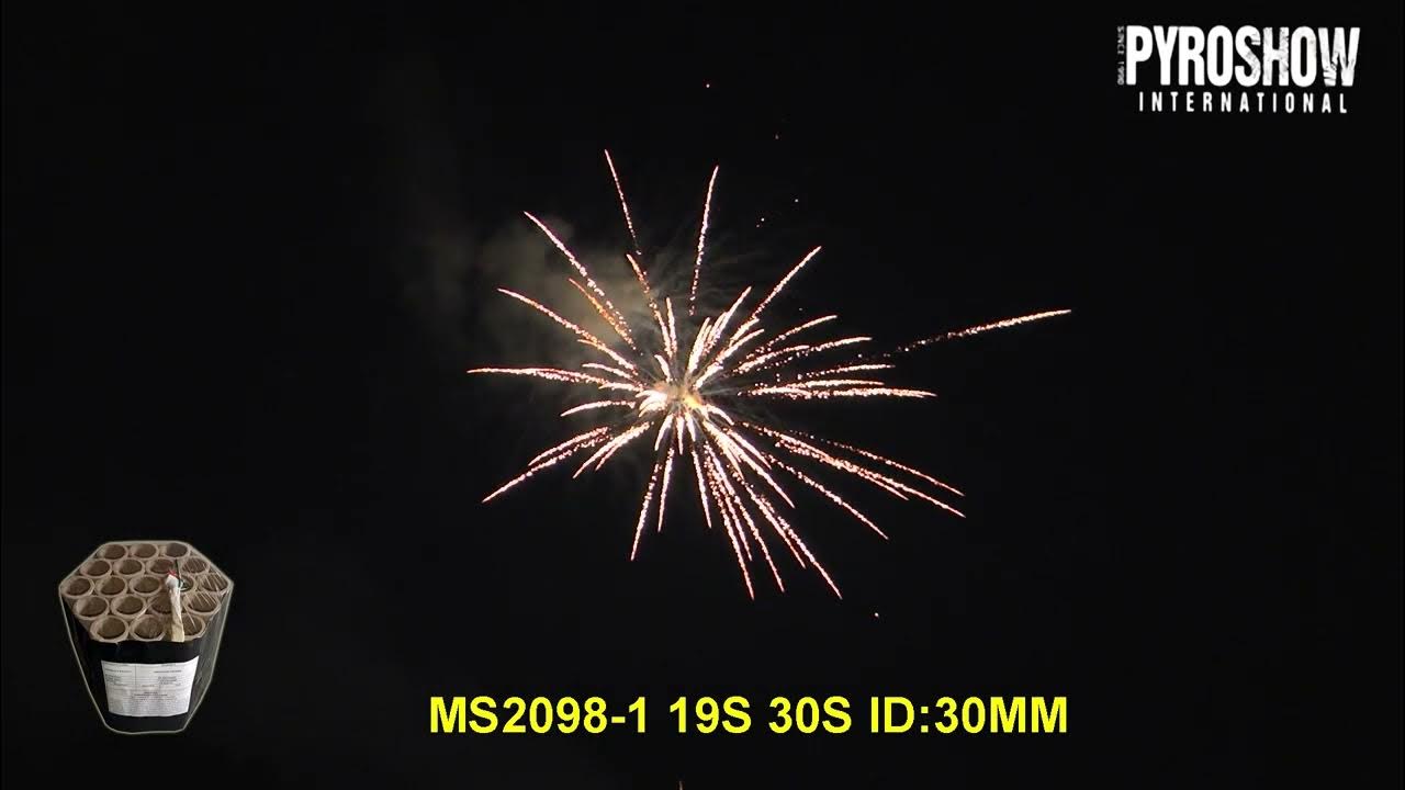 MS2098 1 - YouTube
