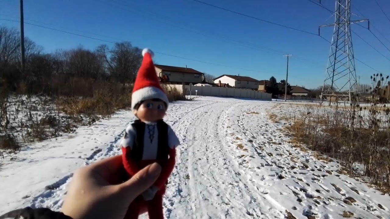 Chippy Is Going For A Cold Saturday Morning Walk🥶🥶🥶🥶🥶 ️ ️ ️ ️ ️🌨🌨🌨🌨🚶‍♂️ ...