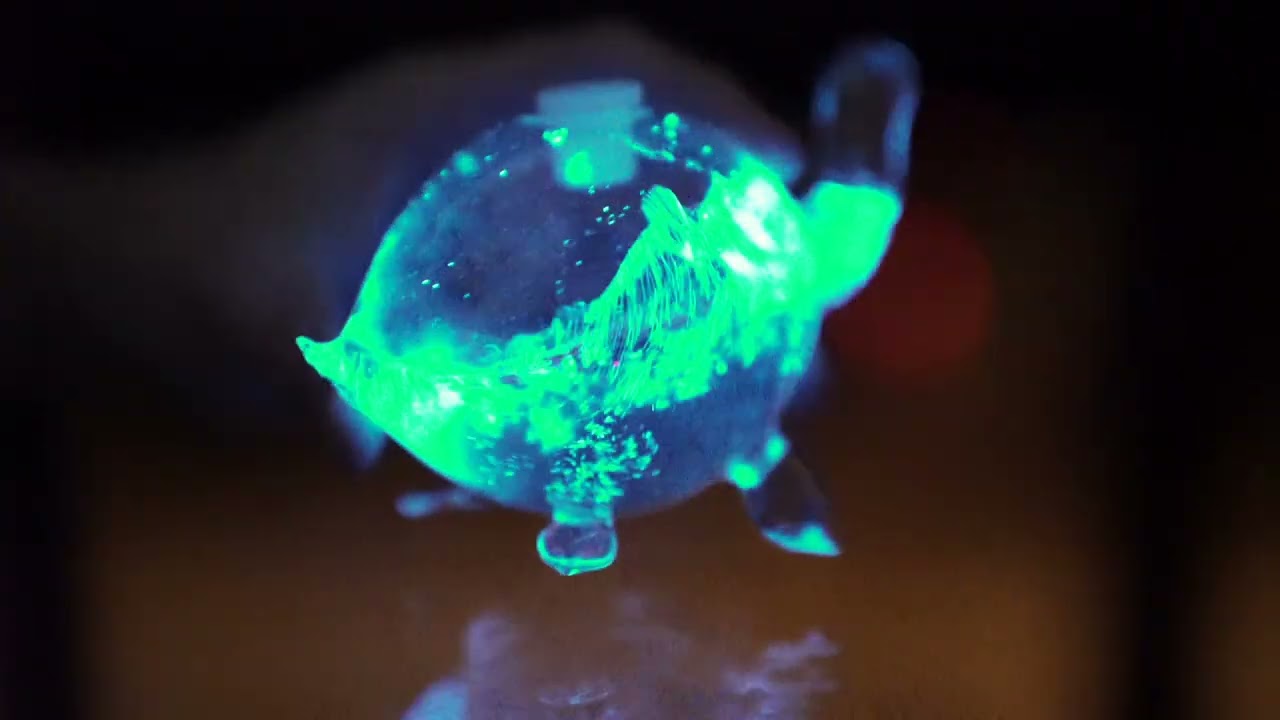 The Bioluminescent Bio-Turtle on display - YouTube