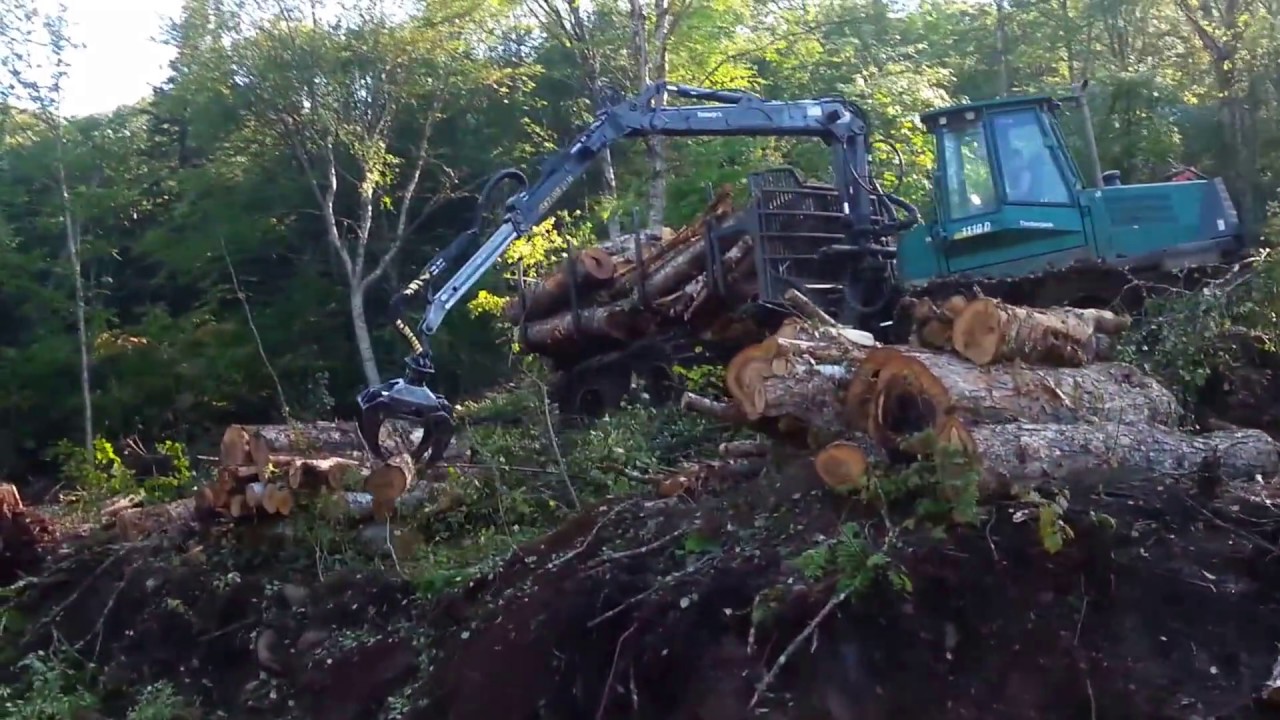 Machine forestière - YouTube