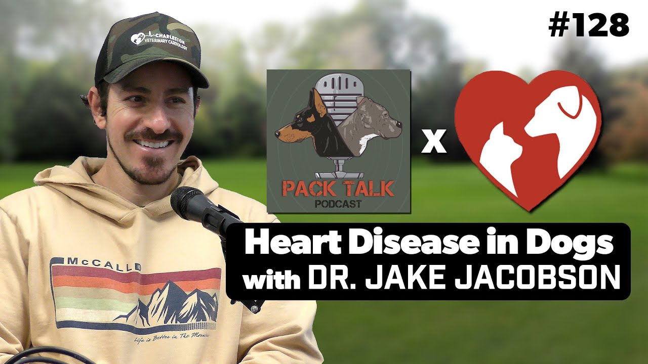 Heart Disease in Dogs with Veterinary Cardiologist Dr. Jake Jacobson ...