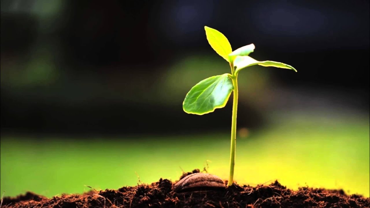 Asi es. Negui y Auze. 2015 - YouTube