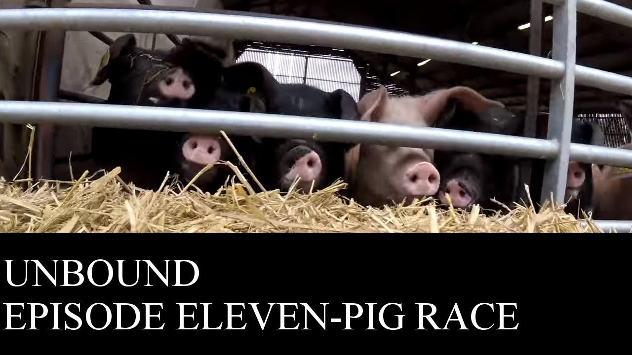Unbound Episode eleven-Pig Race - YouTube