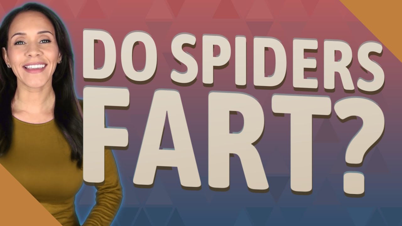 Do spiders fart? - YouTube
