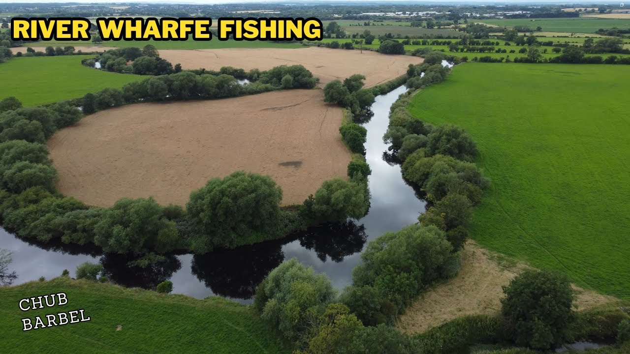 RIVER WHARFE FISHING CHUB BARBEL - YouTube