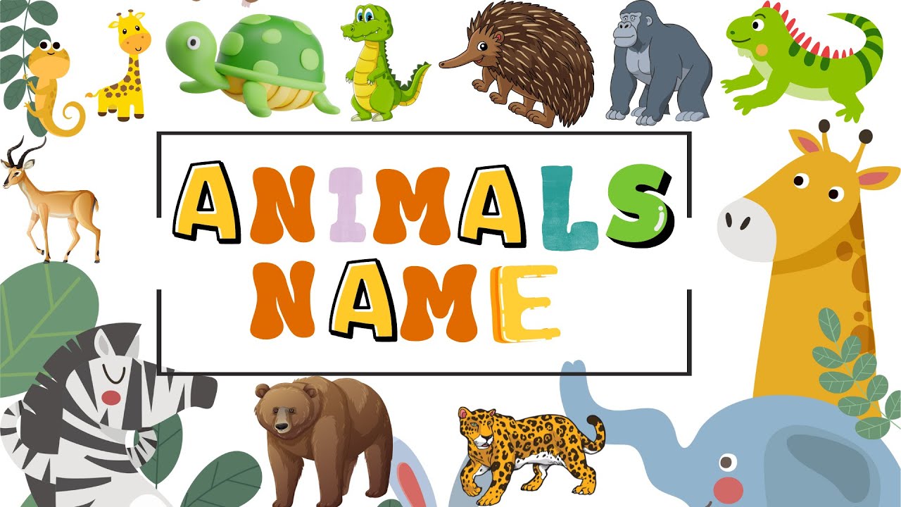Complete Animal ABCs: Discover Real Animals | Fun Educational Song for ...