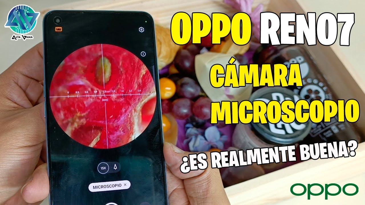 Oppo Reno 7: Prueba de Cámara Microscopio ¿Es realmente buena? - YouTube