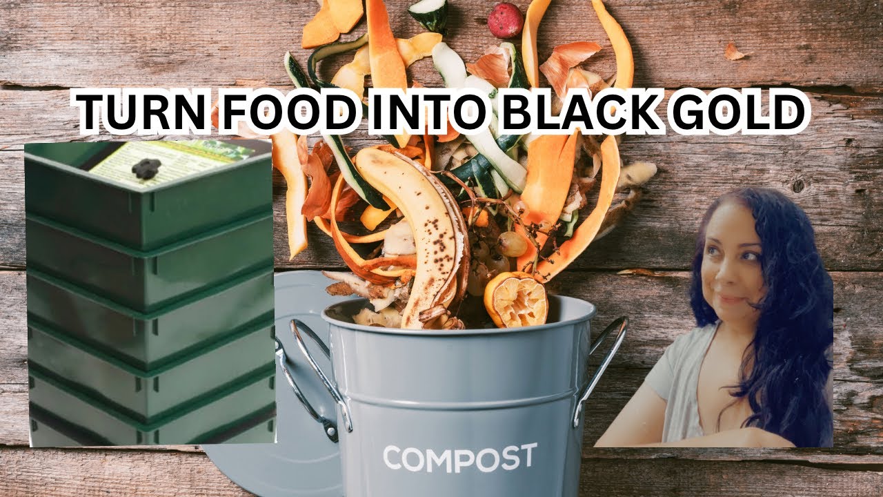 Composting Worms enjoying a Juicy Watermelon #worms #compost # ...