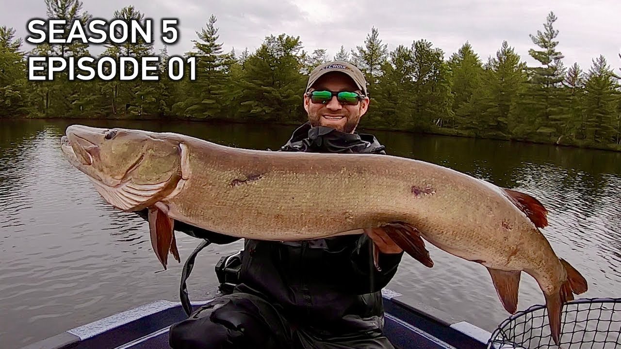 My Biggest Wisconsin Musky of All Time! 51-inch GIANT Destroys Topwater ...