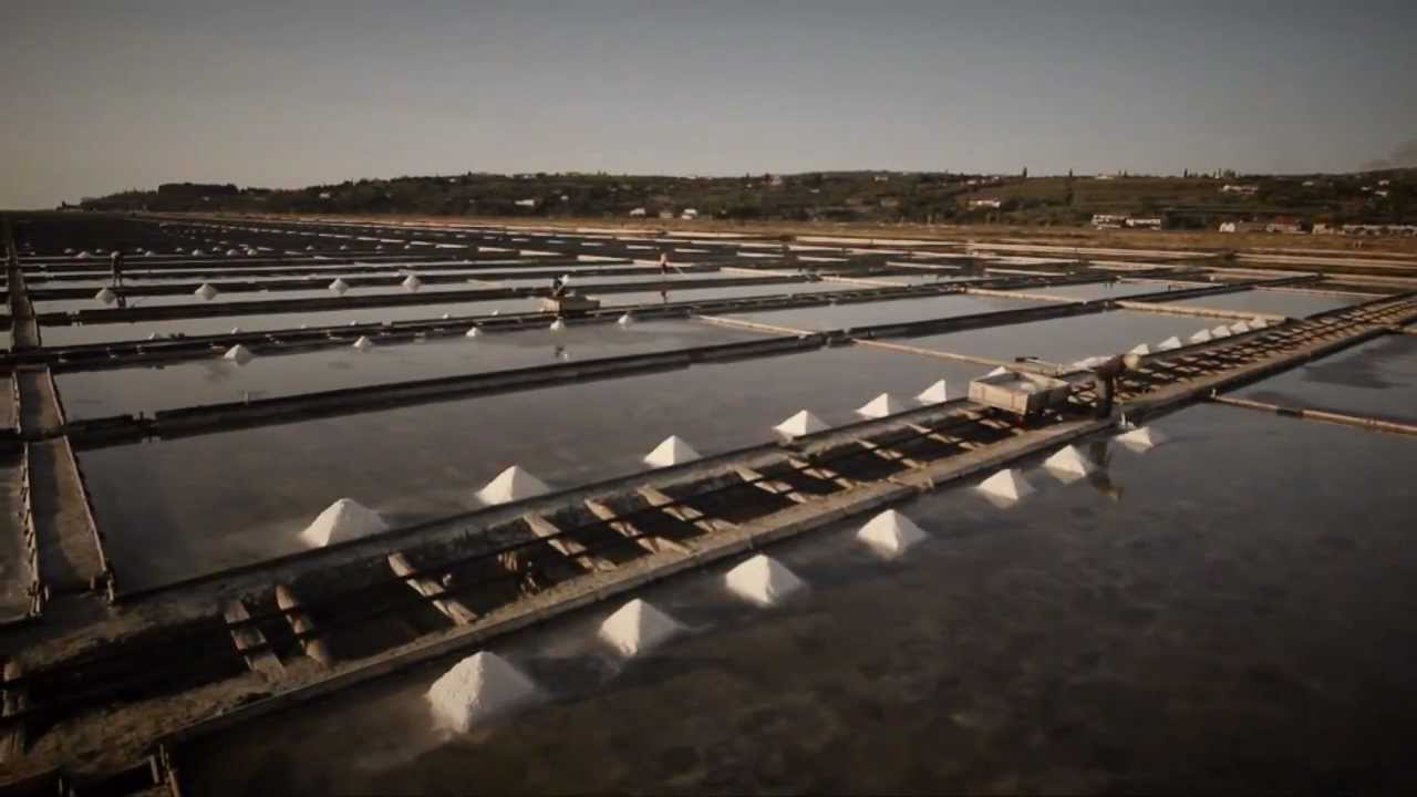 Slavko Ivančić & Klapa Solinar - Solinar (HD) - YouTube