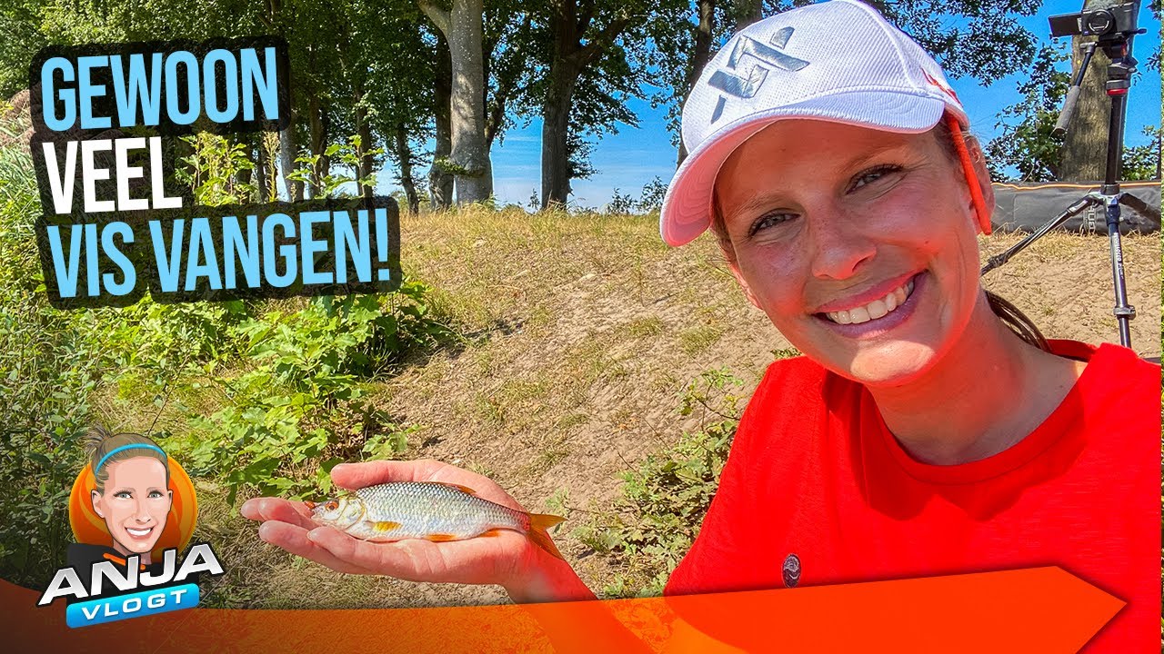 VEEL VIS MET DE VASTE STOK - YouTube