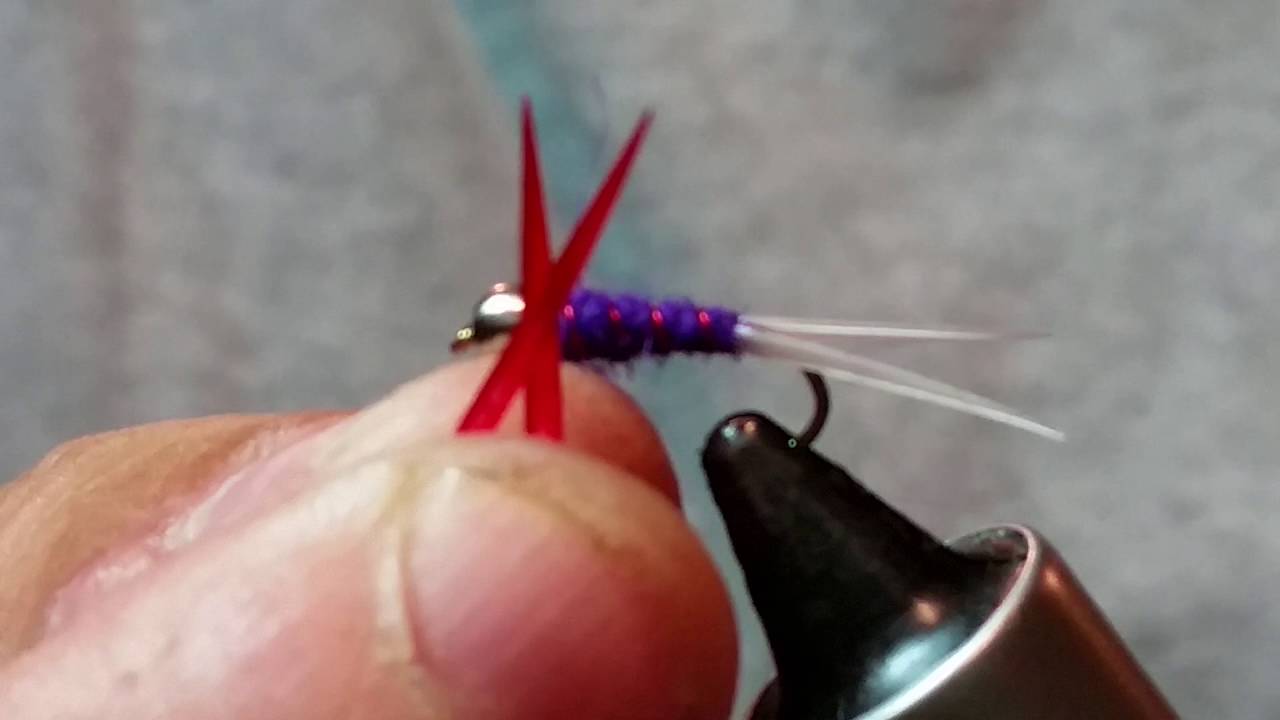 Purple Prince Fly - YouTube
