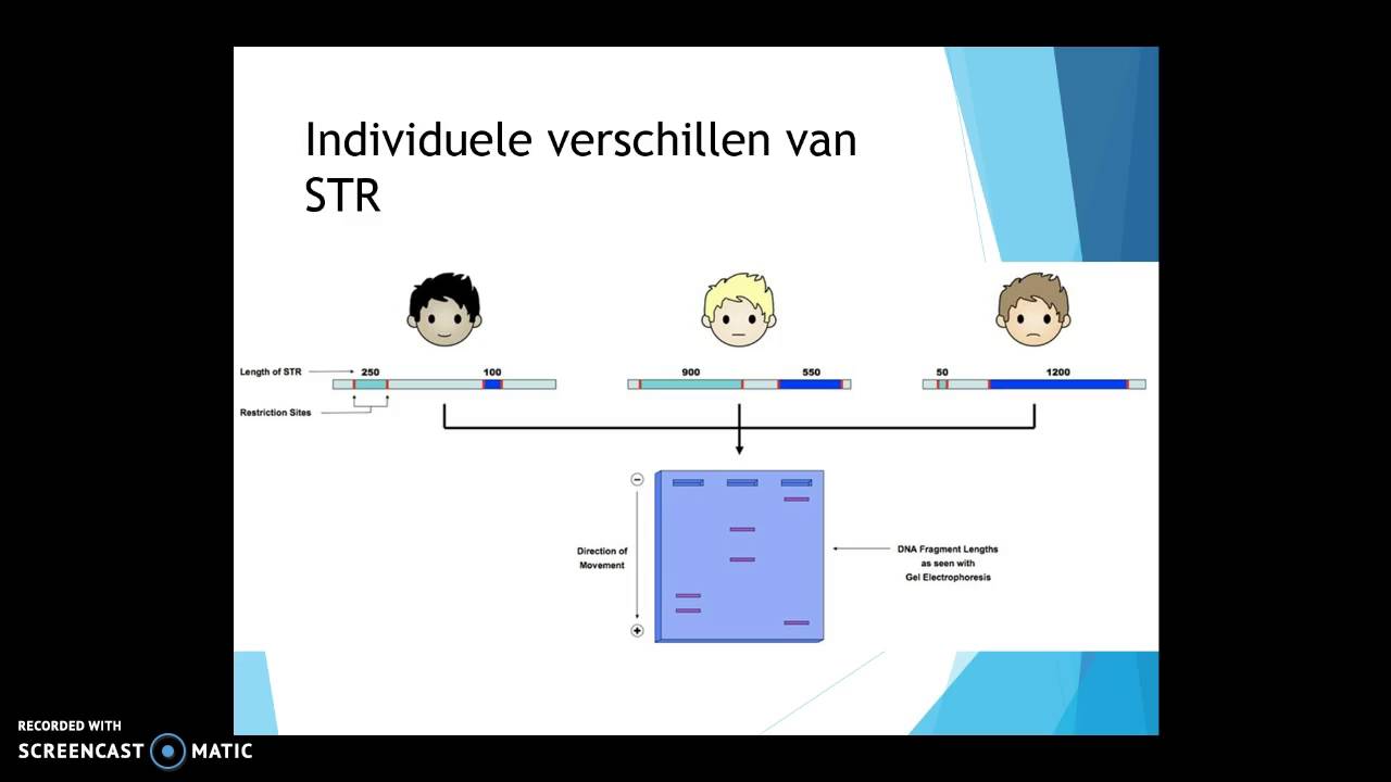 STR analysis - YouTube