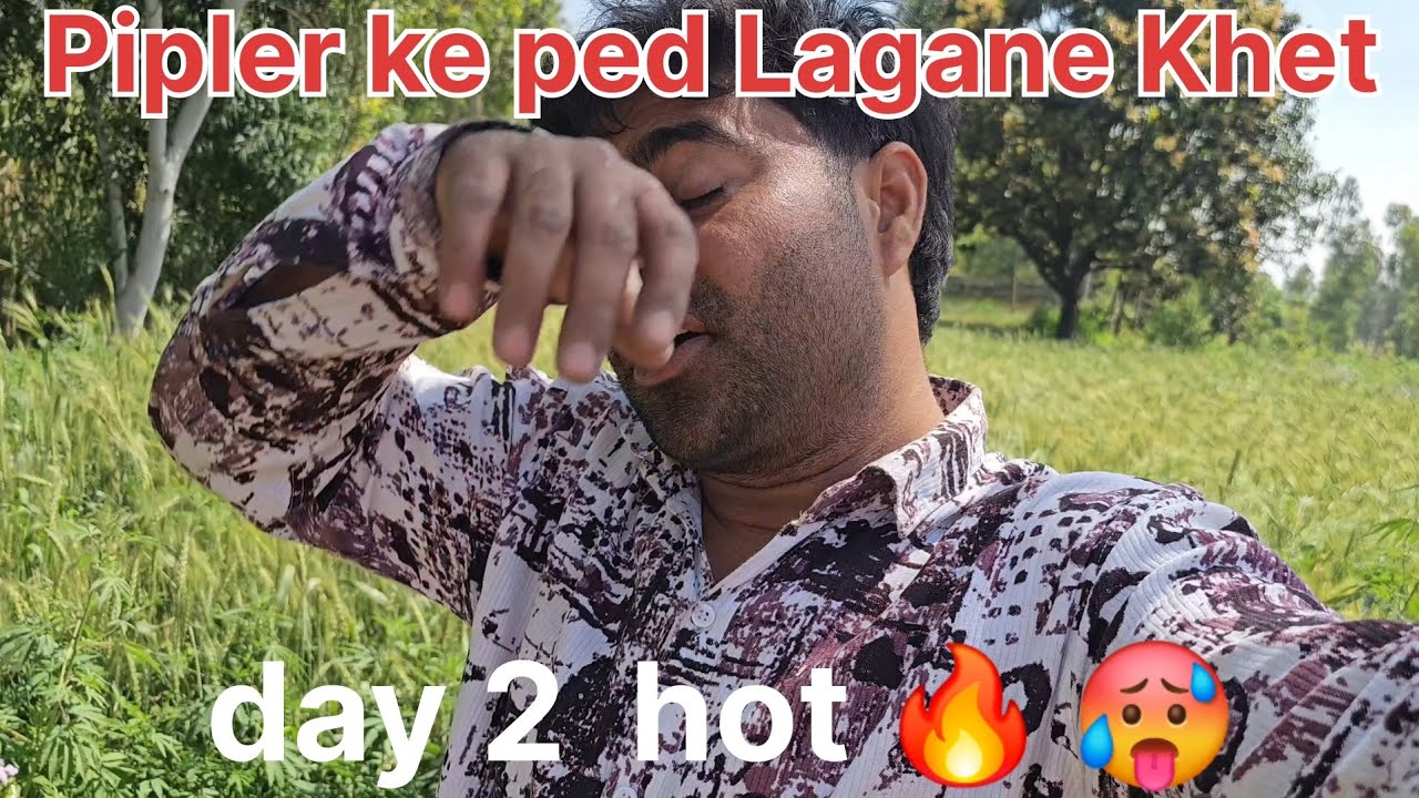 Pipler ke ped Lagane Khet day 2 hot 🔥 🥵 please support guys Subscribe ...