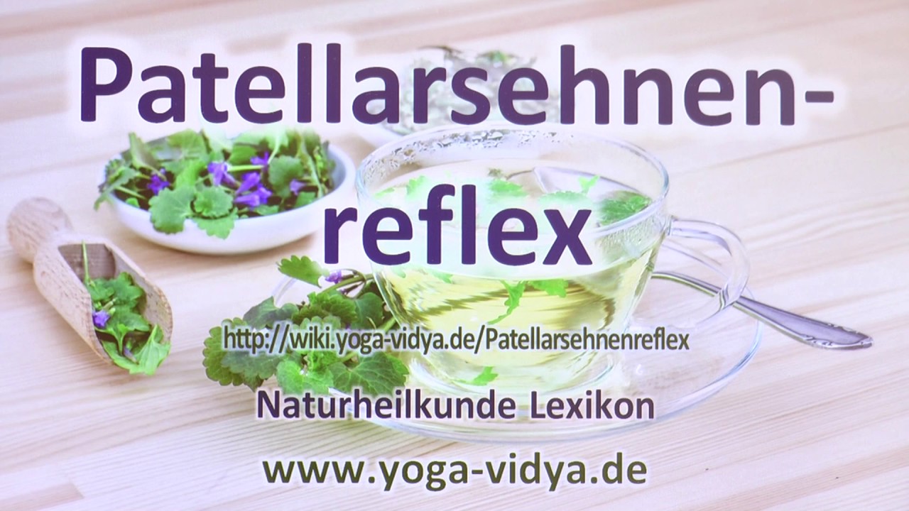 Patellarsehnenreflex - YouTube