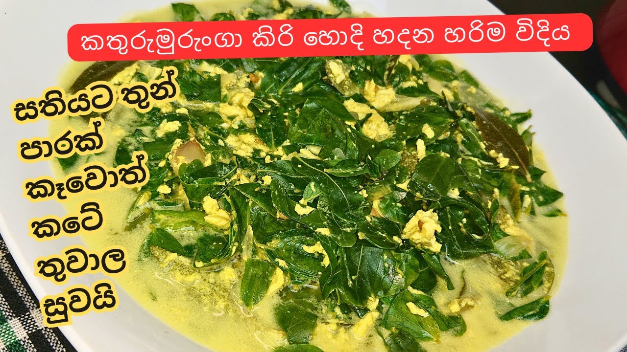 කටේ තුවාල වලට බෙහෙත කතුරුමුරුංගා කිරි හොද්ද | Kathurumurunga ...