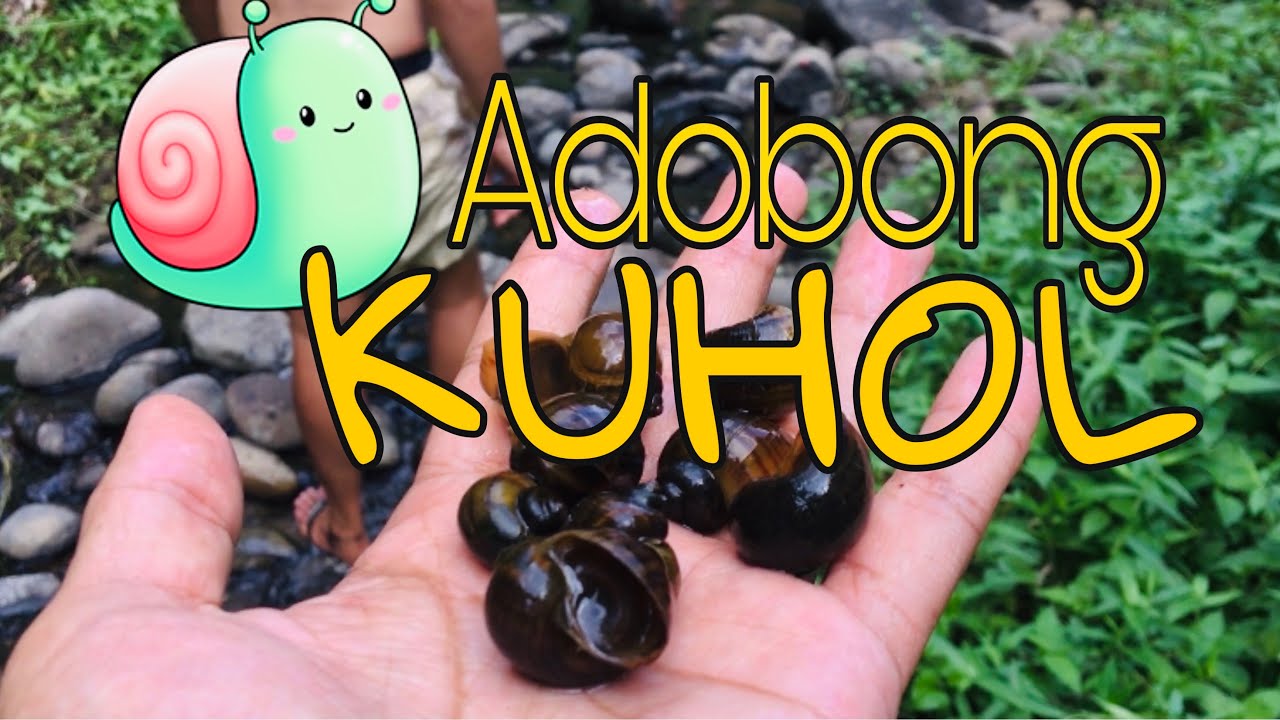 PAANO MANGUNGUHA NG KUHOL? | INTO EXOTIC FOOD ADOBONG KUHOL | ANONG ...