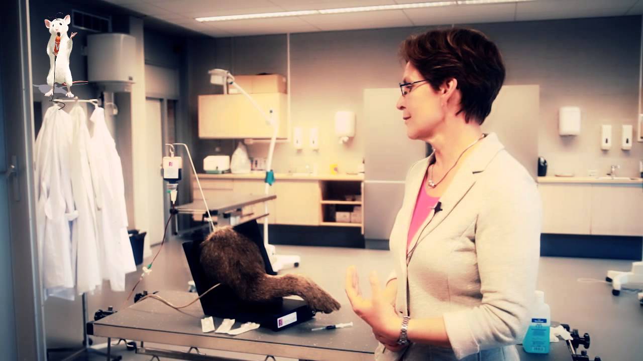 Proefdiervrij biedt proefdiervrij model aan - YouTube