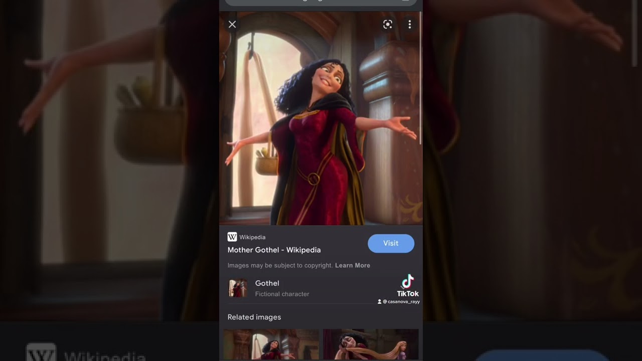 The Roast Of Rapunzel Tangled Rapunzel Mothergothel Disney 7853