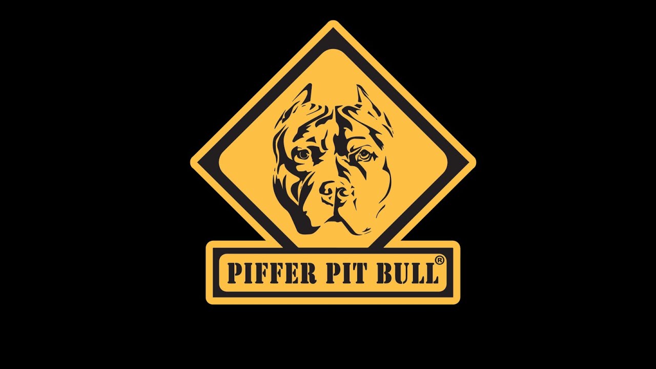 American Pit Bull Terrier - "OAKLEY" of Piffer | Cinofilia Digital ...