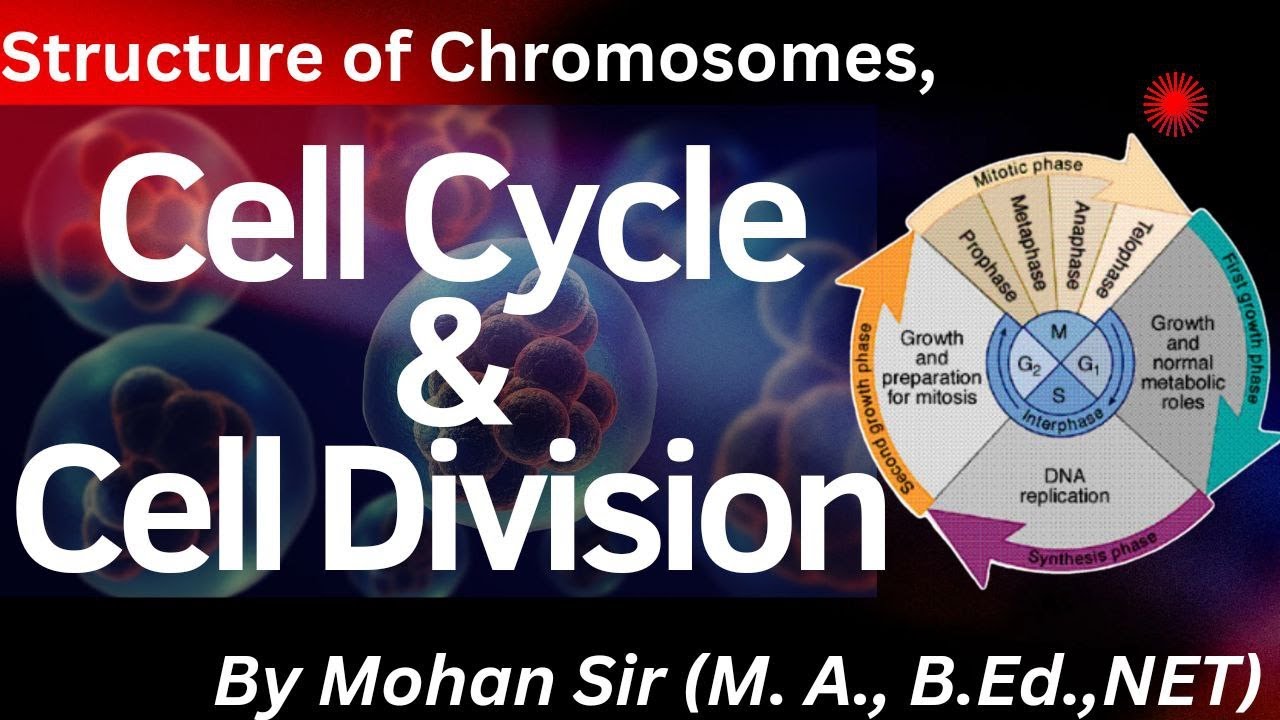 Ch 1 Cell Cycle And Cell Division ICSE Class 10 Biology YouTube ch-1-cell-cycle-and-cell-division-icse-class-10-biology-youtube
