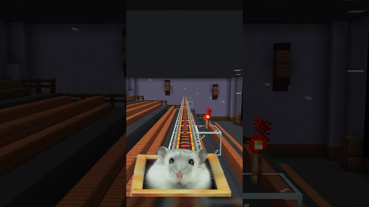 Hamster in Minecraft Roller Coaster #minecraft #rollercoaster #hamster ...