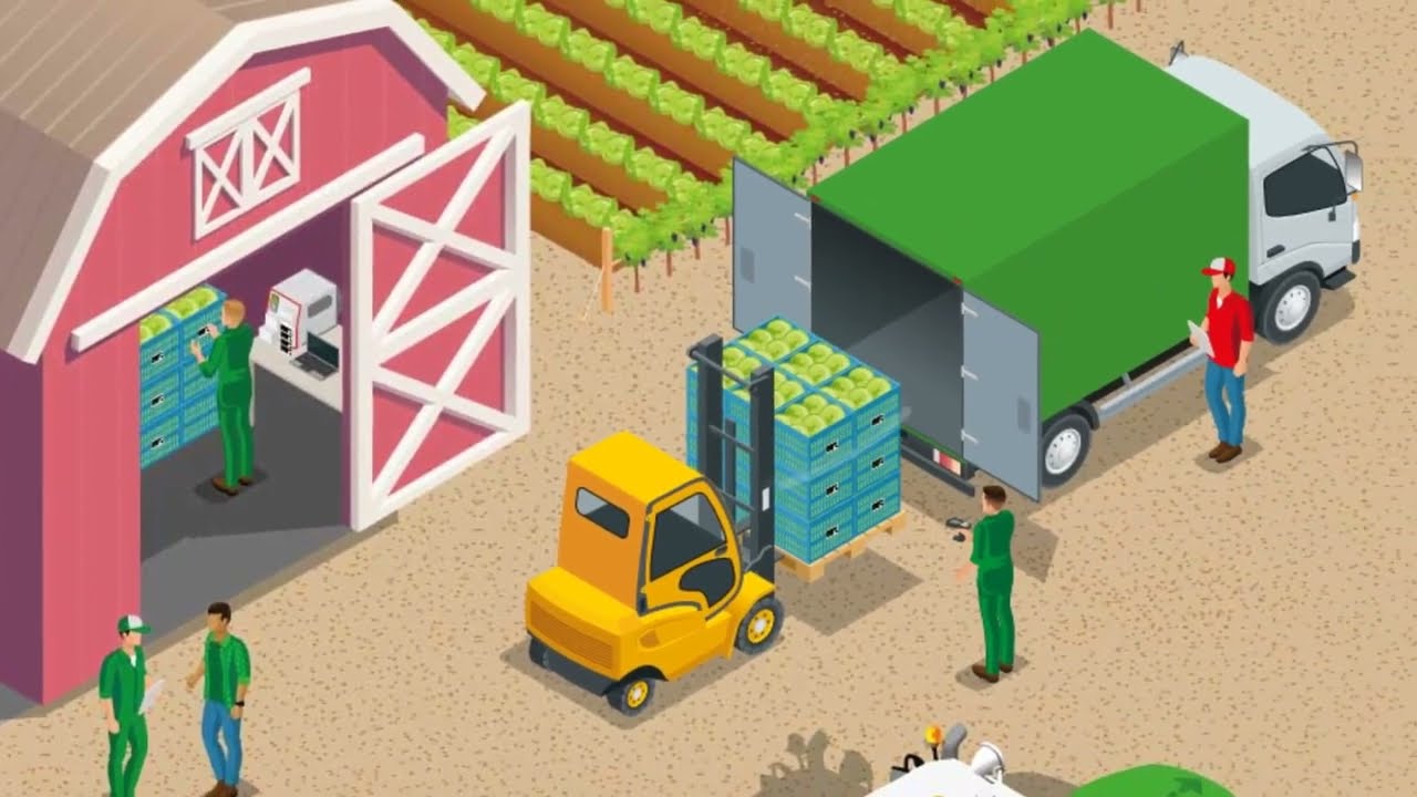 Freshmarx Supply Chain Solutions for Growers/Farms/Producers - YouTube