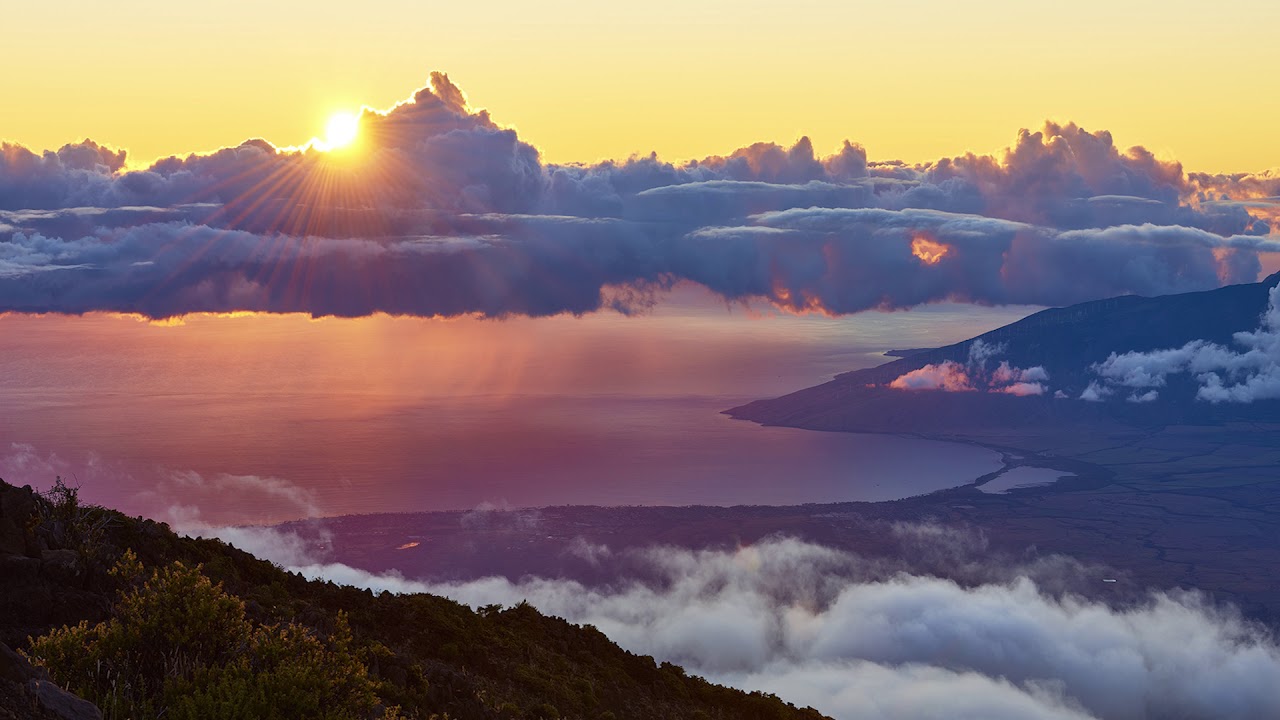 Azaleh - Somnia - YouTube