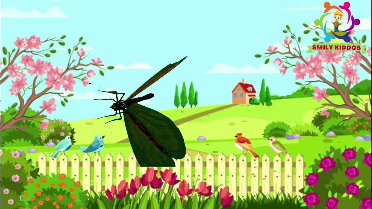 𝗕𝘂𝘁𝘁𝗲𝗿𝗳𝗹𝘆 𝗟𝗮𝗱𝘆𝗯𝘂𝗴 𝗕𝘂𝗺𝗯𝗹𝗲𝗯𝗲𝗲 🦋🐞🐝 𝗞𝗶𝗱𝘀 𝗦𝗼𝗻𝗴𝘀 & 𝗡𝘂𝗿𝘀𝗲𝗿𝘆 𝗥𝗵𝘆𝘁𝗵𝗺𝘀 - YouTube