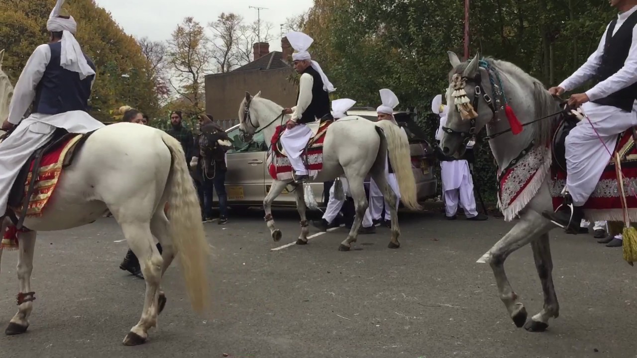 Rani Taj Dhol - Pandora Dancing Horses Pothwar.com PT.2 - YouTube
