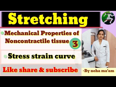 Stretching|| Mechanical properties of noncontractile tissue|| stress ...