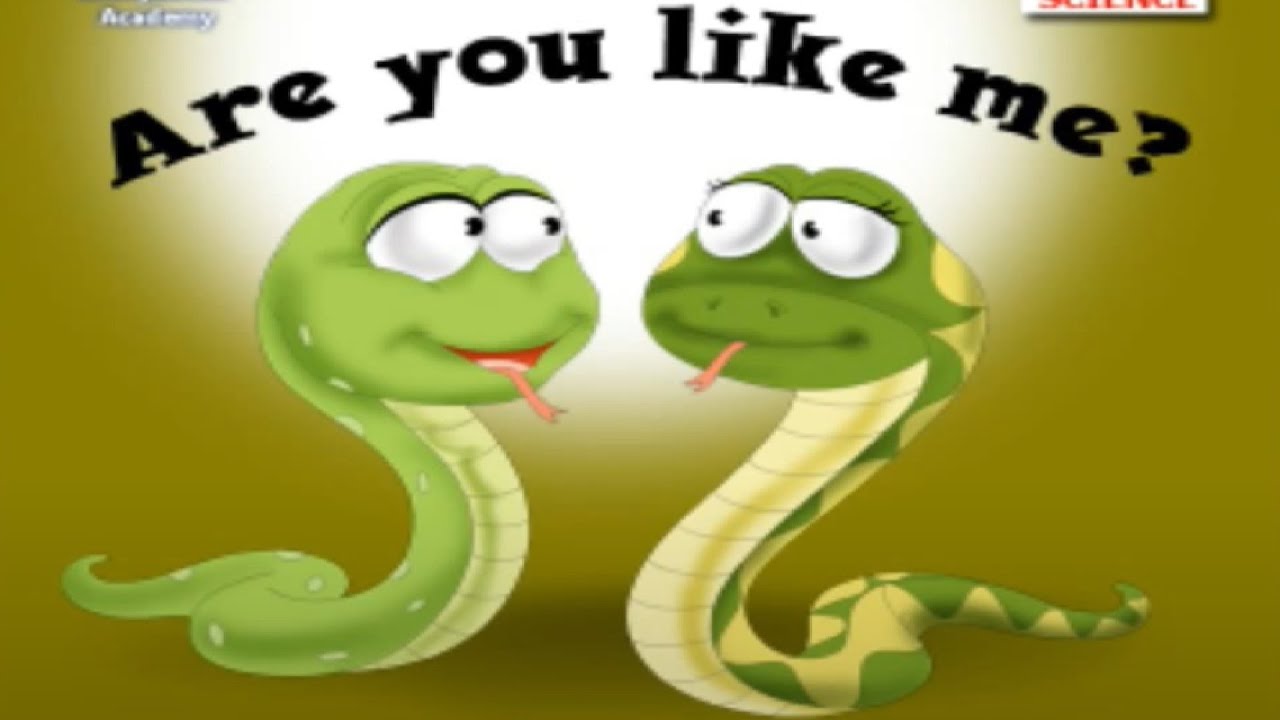 Are You Like Me? | Educational | Learning | Kids | Children | Baby ...